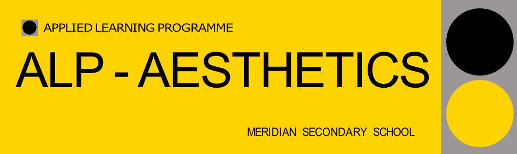 Applied Learning Programme (ALP) – Aesthetics